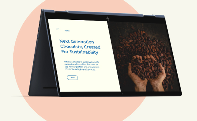 The Creative Store New Zealand | Great Jobs. Great People.